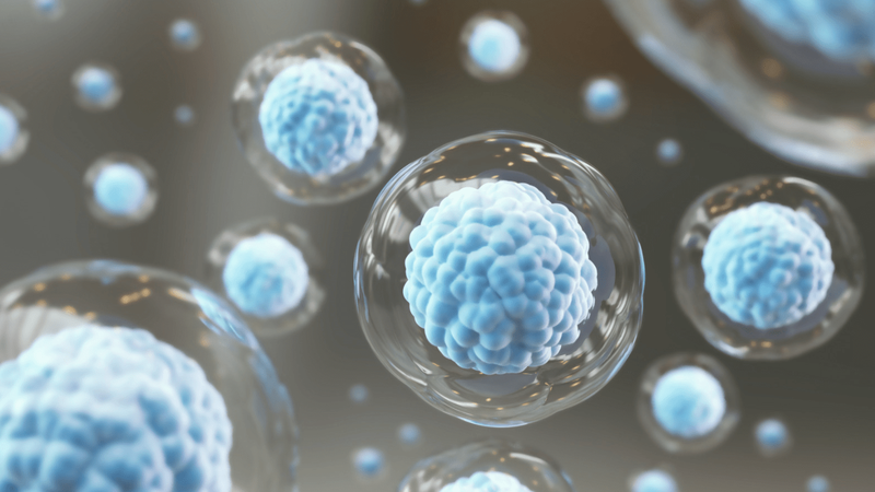 La start-up EsoBiotec prête à transformer les traitements du cancer par ...